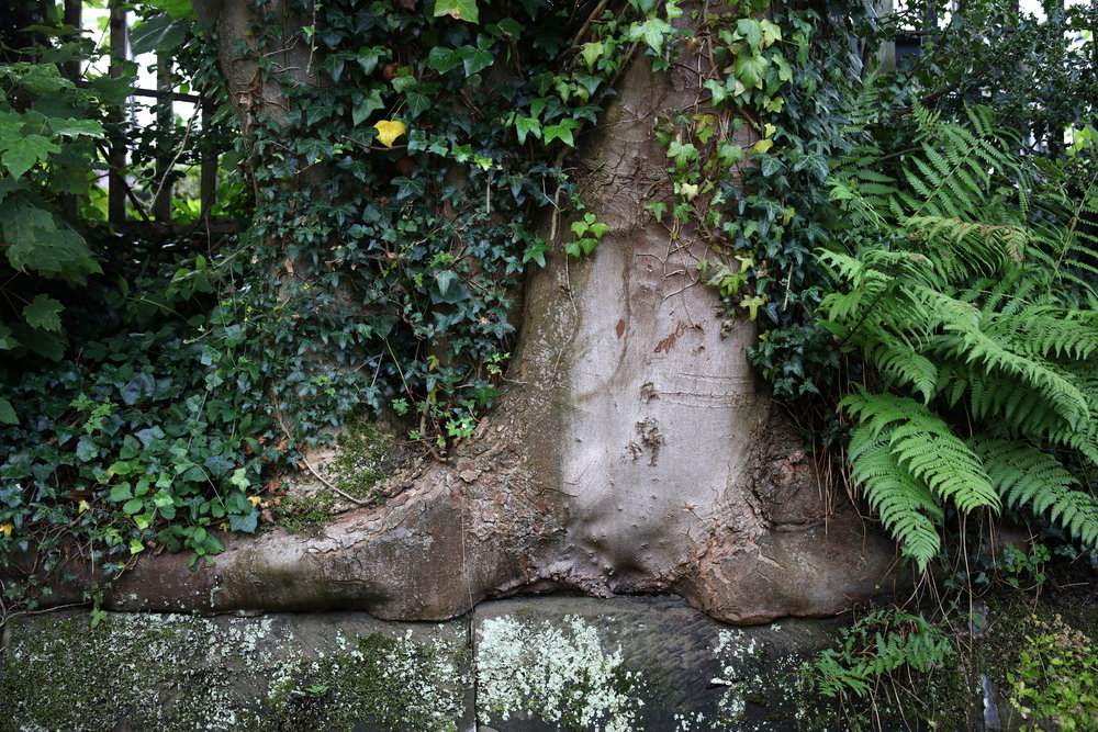 Tamron 35-150mm f/2.8-4 Di VC OSD (A047) Review - Performance | ePHOTOzine