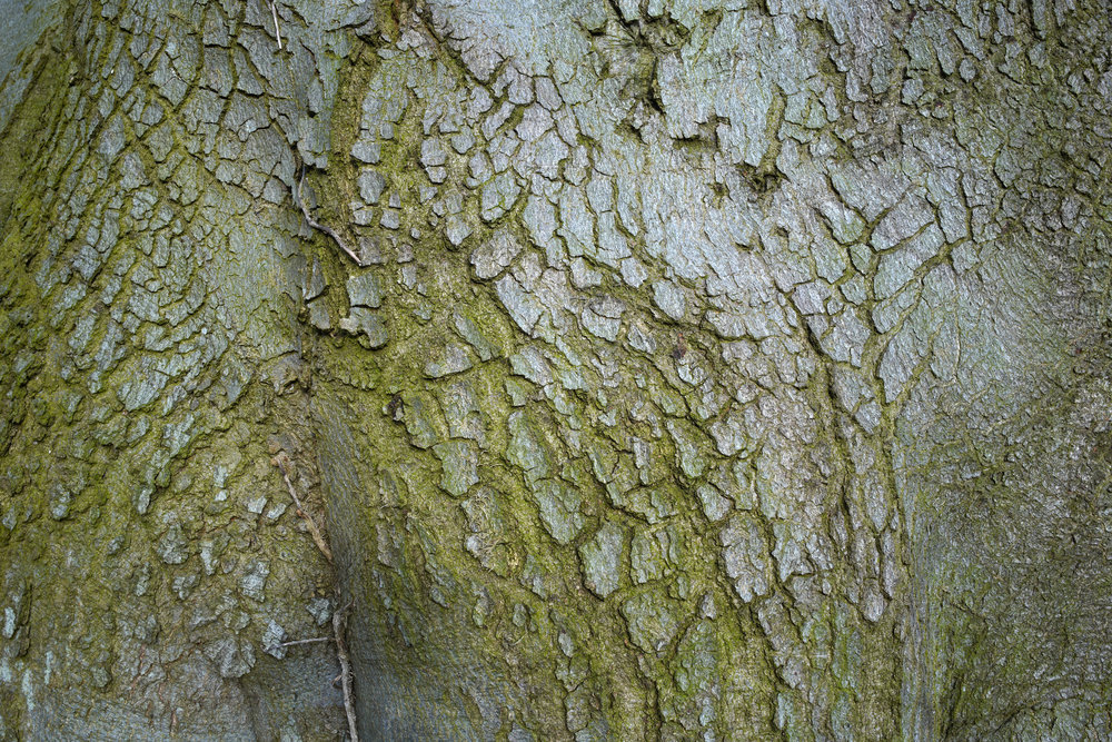 Tamron 35mm f/2.8 Di III OSD M1:2 Review - Performance | ePHOTOzine