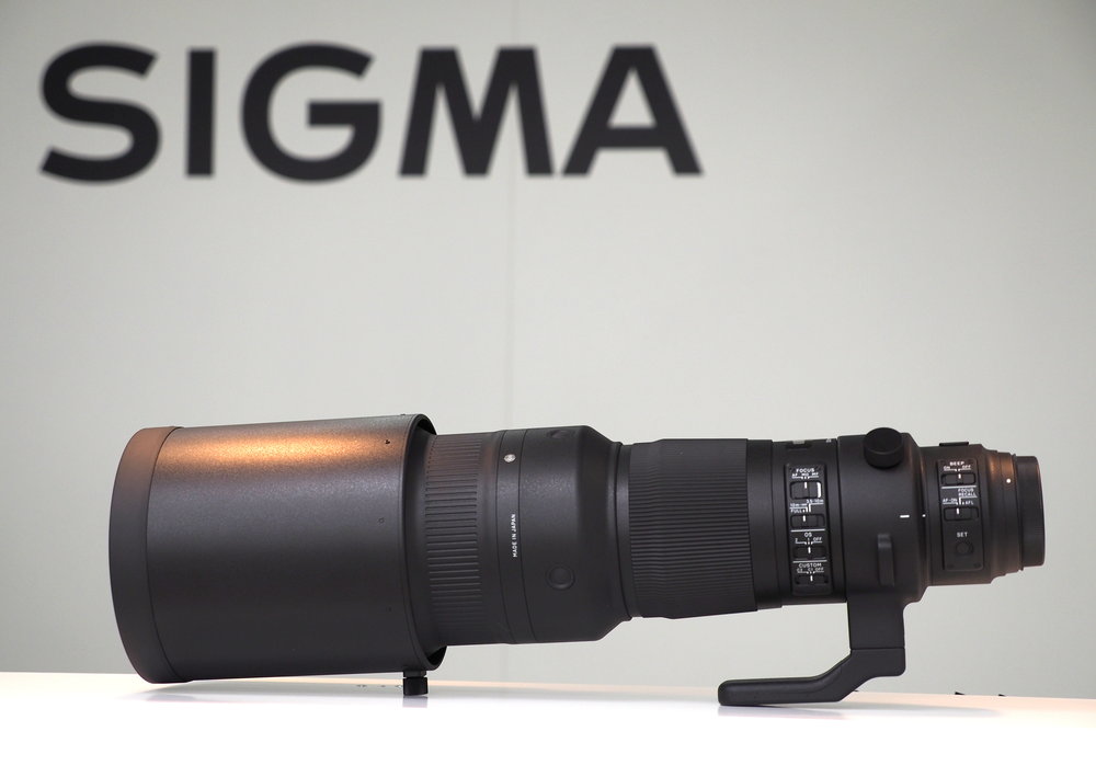 Sigma 500mm f/4 DG OS HSM Sports Images