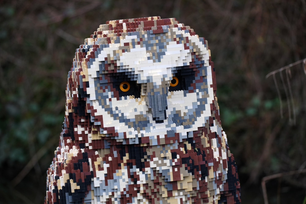 Sigma 60-600mm F/4.5-6.3 DG DN OS Sports Lens Review - Performance ...