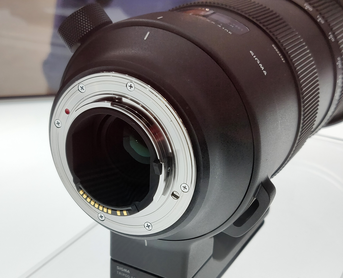 Sigma 60-600mm f/4.5-6.3 DG OS HSM | S Hands-On Photos | ePHOTOzine