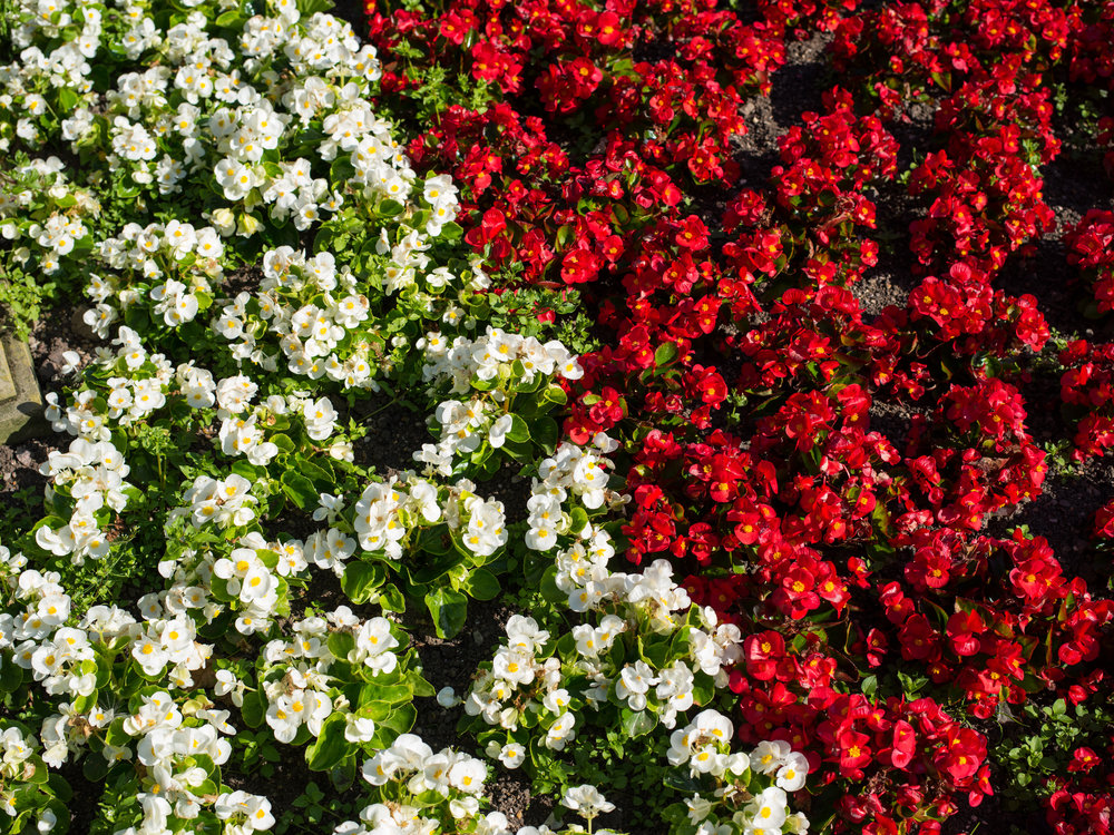 Pentax 645Z Full Size Sample Photos