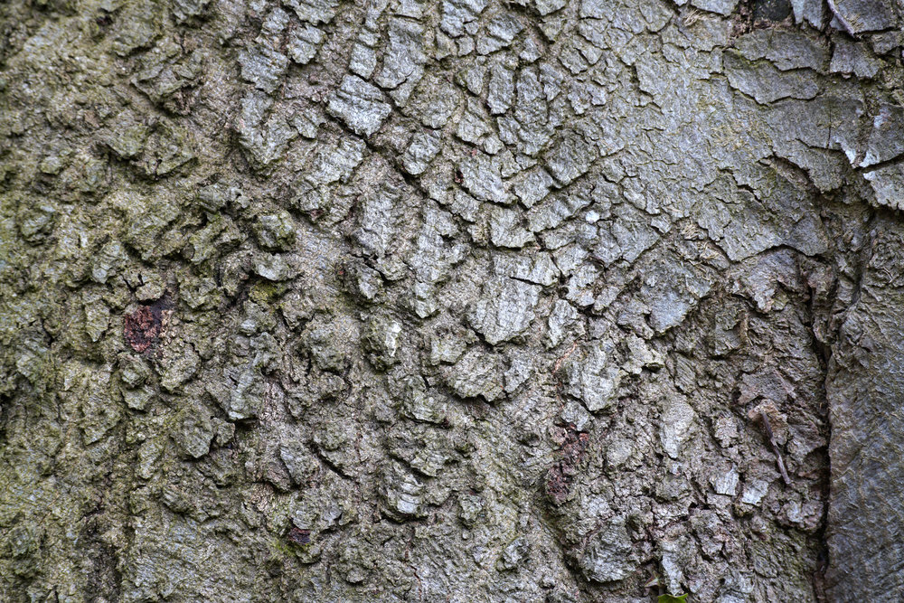 Tamron 70-300mm f/4.5-6.3 Di III RXD (A047) Review - Performance ...