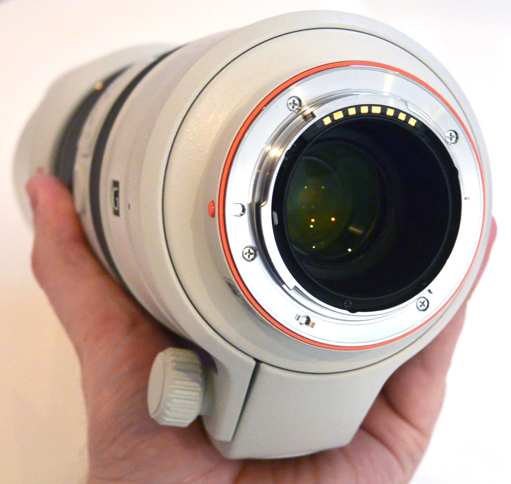 Sony 70-400mm f/4-5.6 G SSM II Images