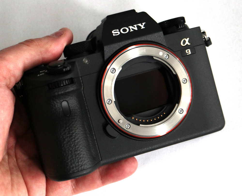 Sony Alpha 9 (ILCE-9) Images