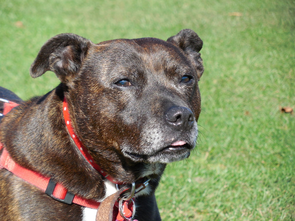 Nikon Coolpix L620 Review | ePHOTOzine