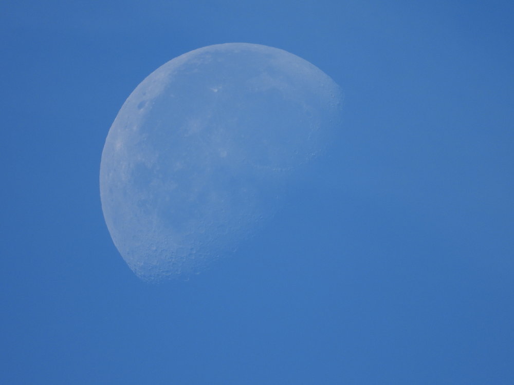 Nikon Coolpix P1000 Hands-On Sample Photos | ePHOTOzine