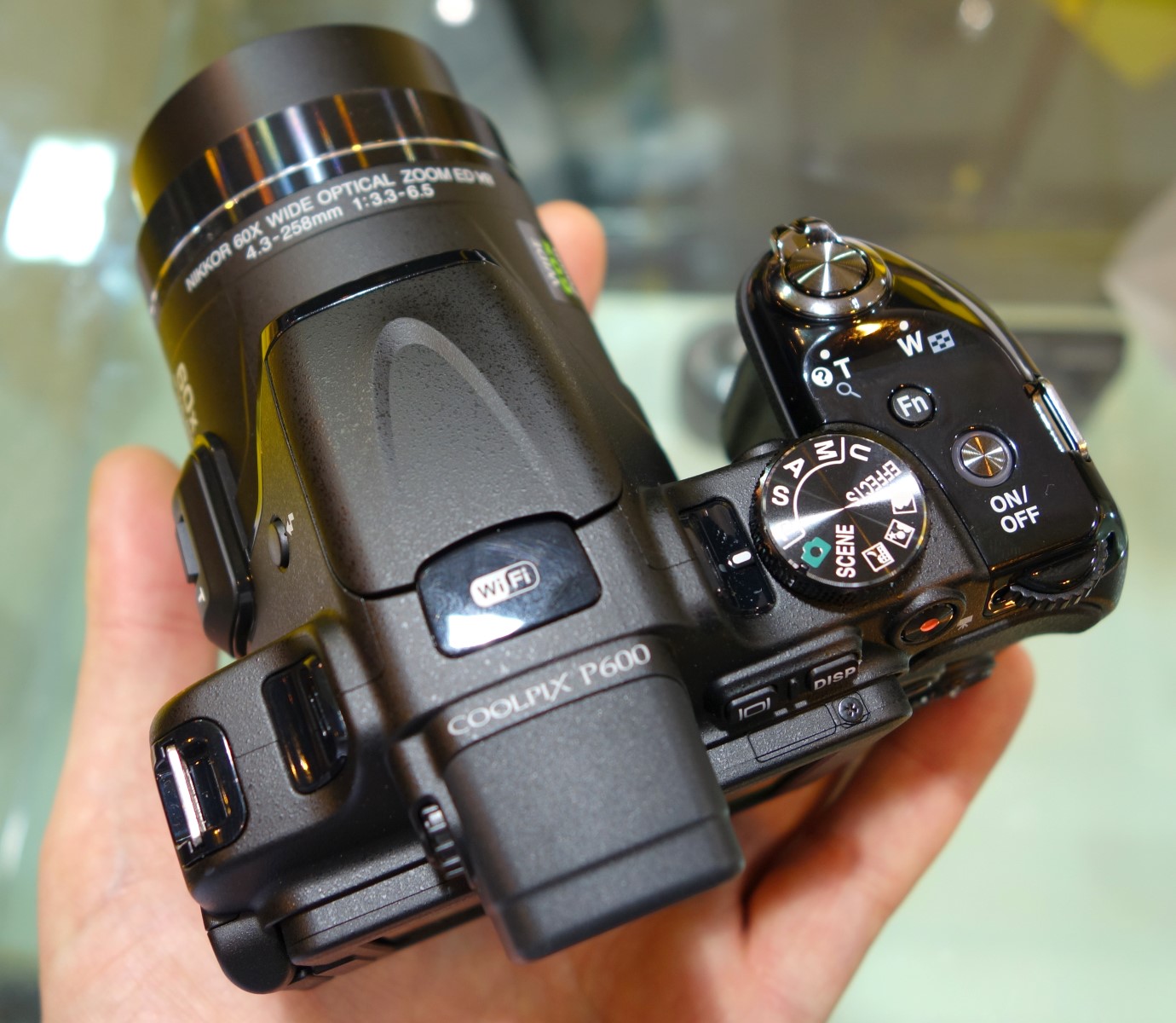 Nikon Coolpix P600 Sample Photos | ePHOTOzine