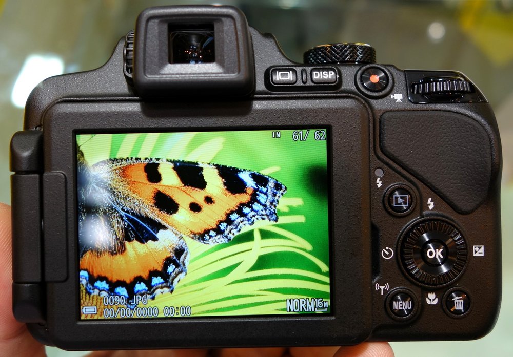 Nikon Coolpix P600 Sample Photos | ePHOTOzine