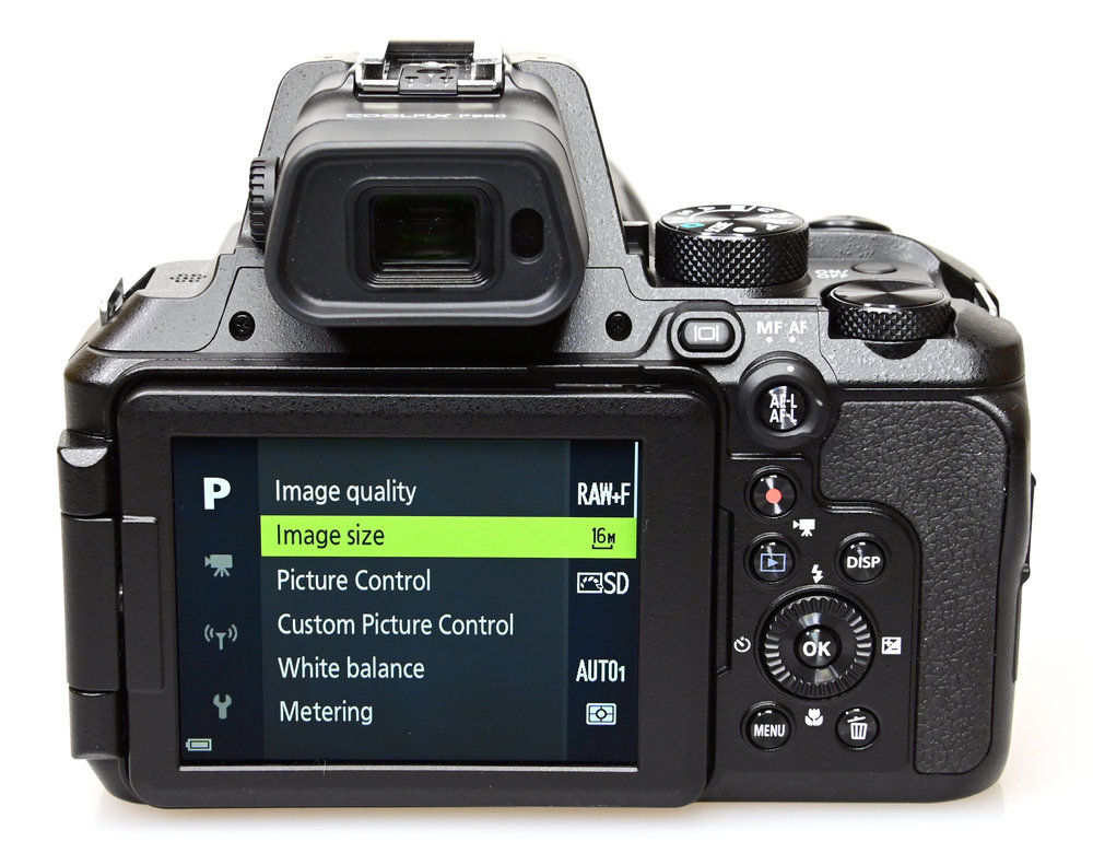 Nikon Coolpix P950 Sample Photos | ePHOTOzine