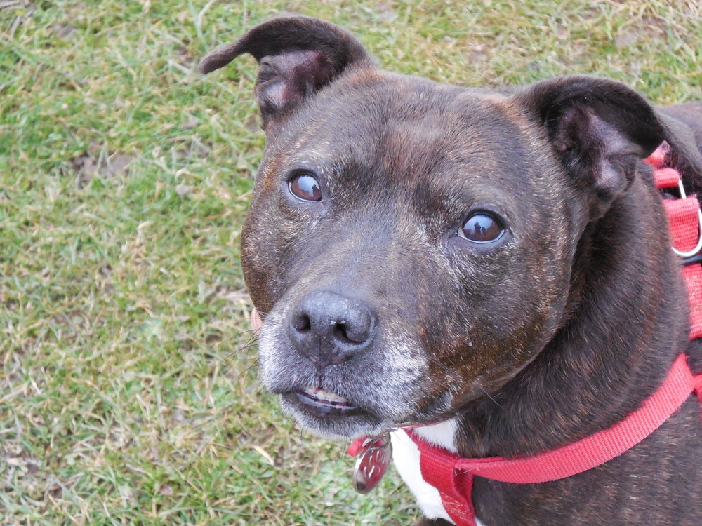 Nikon Coolpix S5200 Review | ePHOTOzine