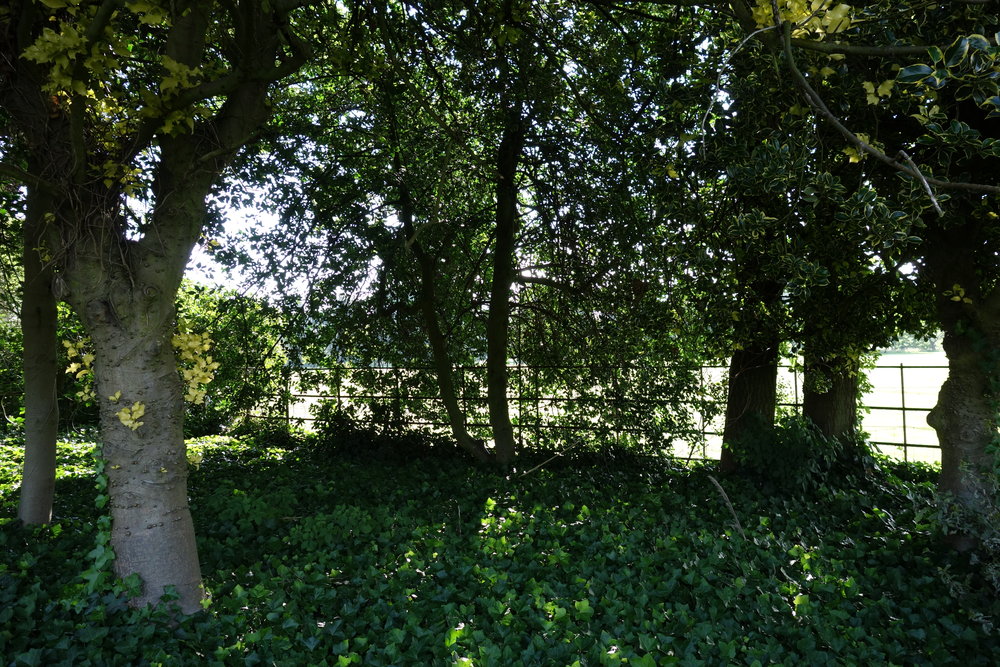 Sony RX100 Camera Review | ePHOTOzine