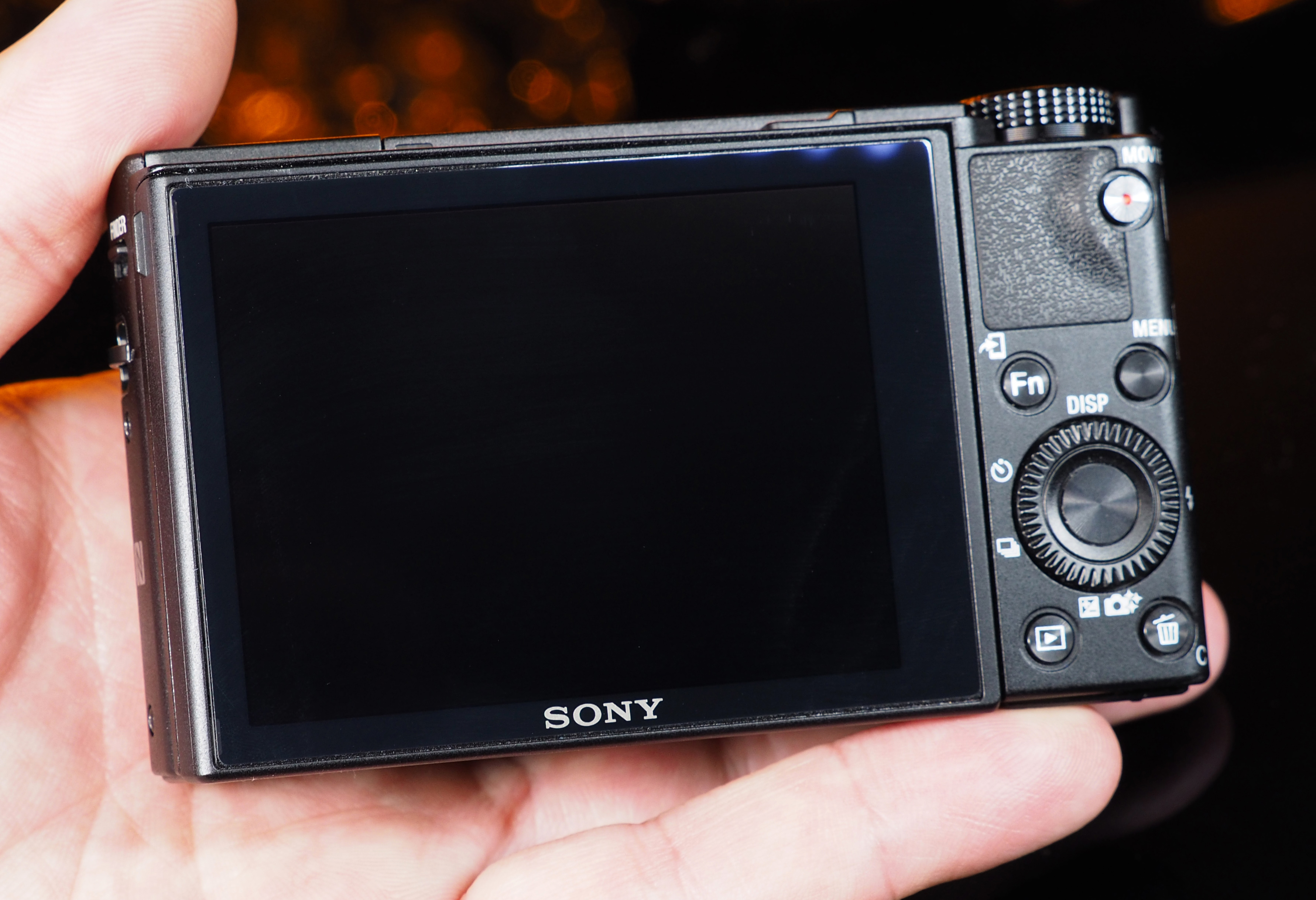 Sony Cyber-shot RX100 Mark V Sample Photos And Video | ePHOTOzine