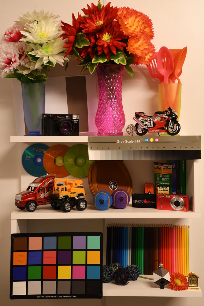 Nikon D500 Full Size Sample Photos | ePHOTOzine