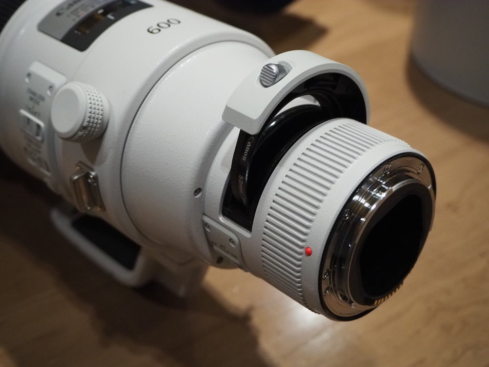Canon EF 600mm f/4L IS III USM Images