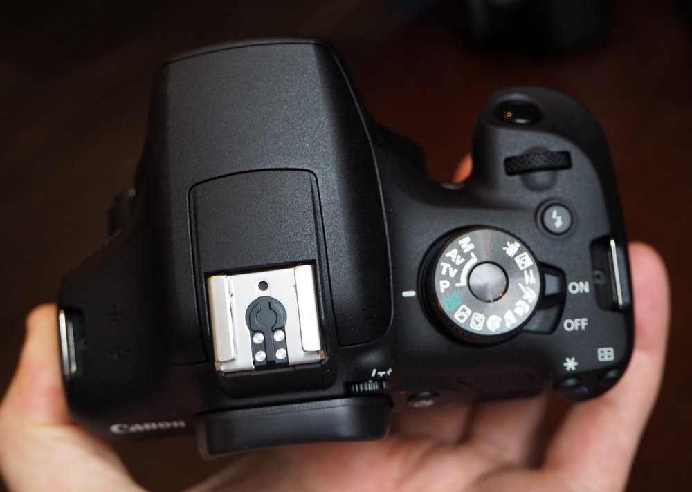 Canon EOS 2000D (Rebel T7) Images