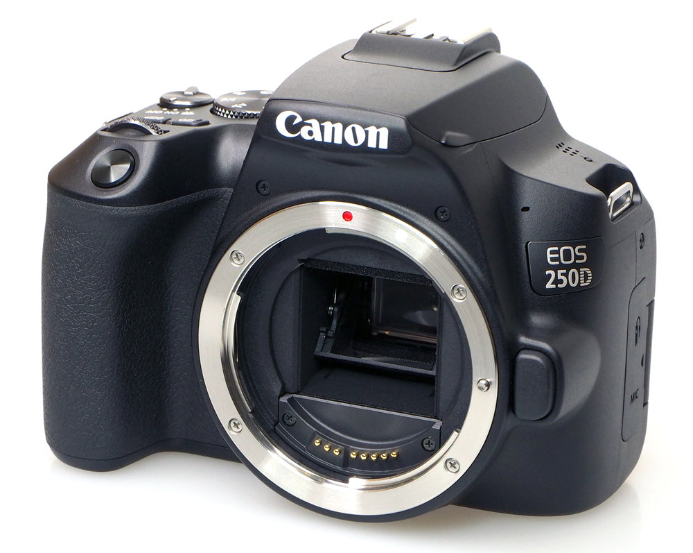 Canon EOS 250D (Rebel SL3) Images