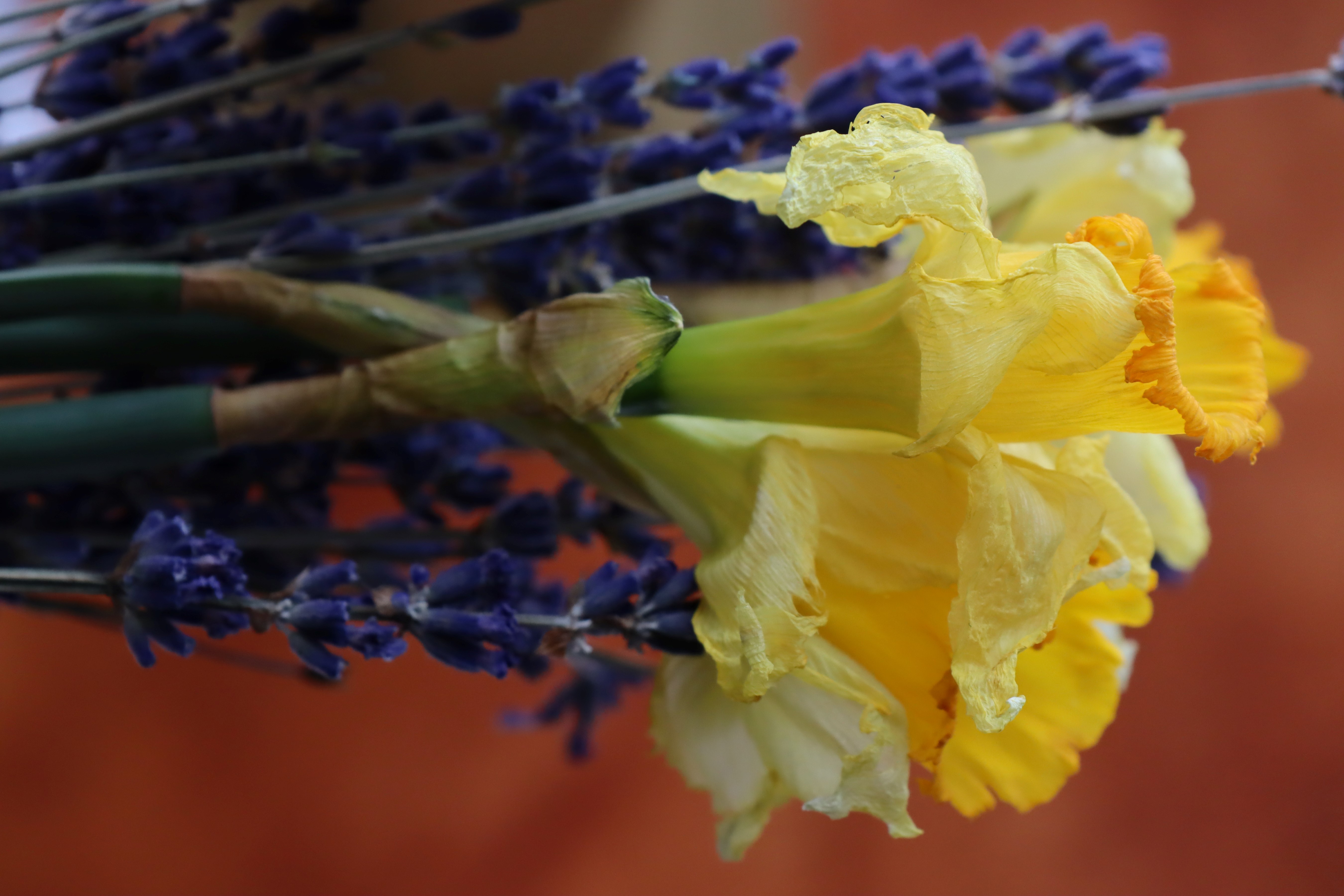 Canon EOS M50 Sample Photos | ePHOTOzine