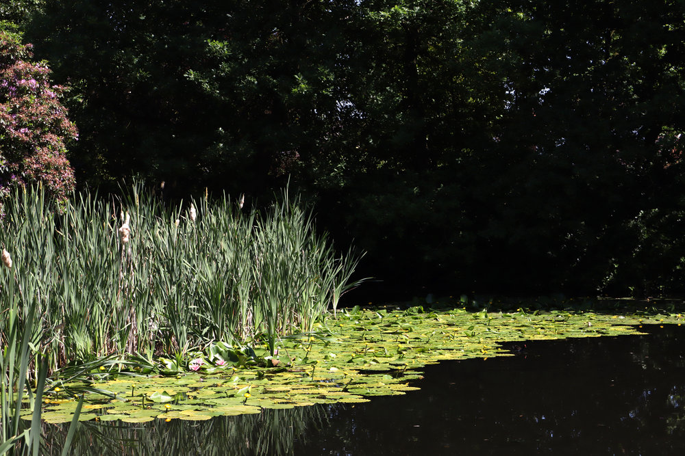 Canon EOS R100 Camera Review - Performance | ePHOTOzine