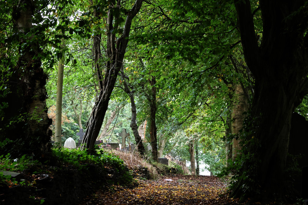 Canon EOS R7 Camera Review - Performance | ePHOTOzine