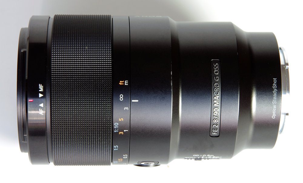 Sony FE 90mm f/2.8 Macro G OSS Images