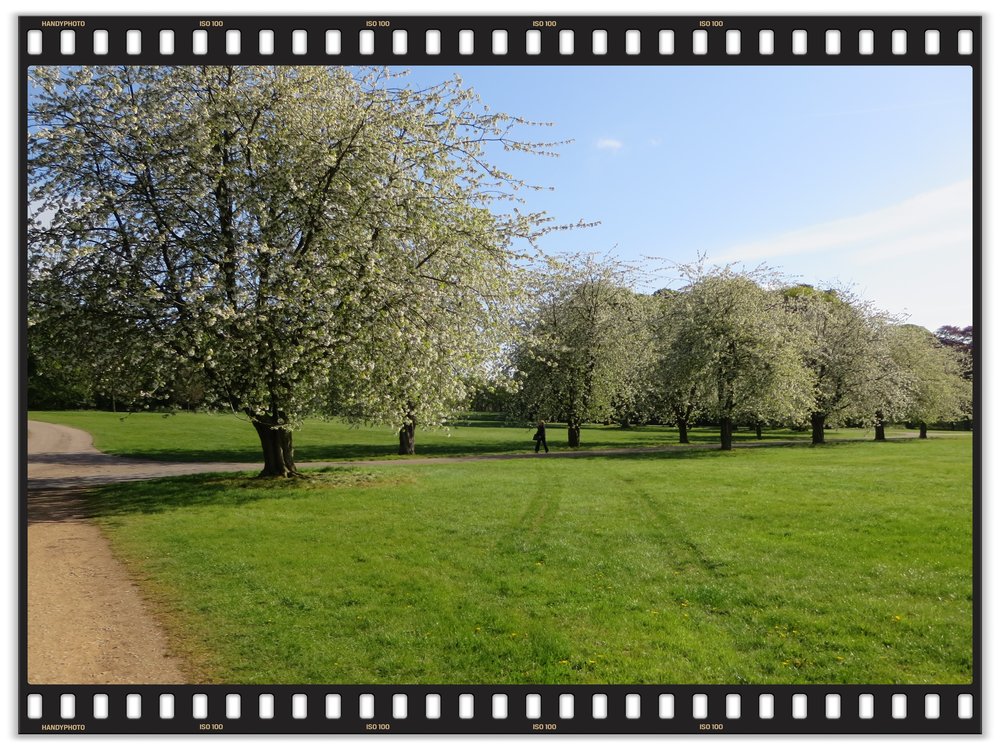 Handy Photo iOS App Review | ePHOTOzine