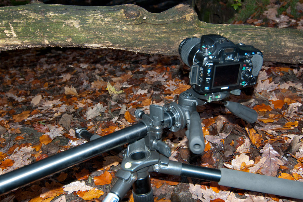 Giottos MTL9351B & MH5011 Images