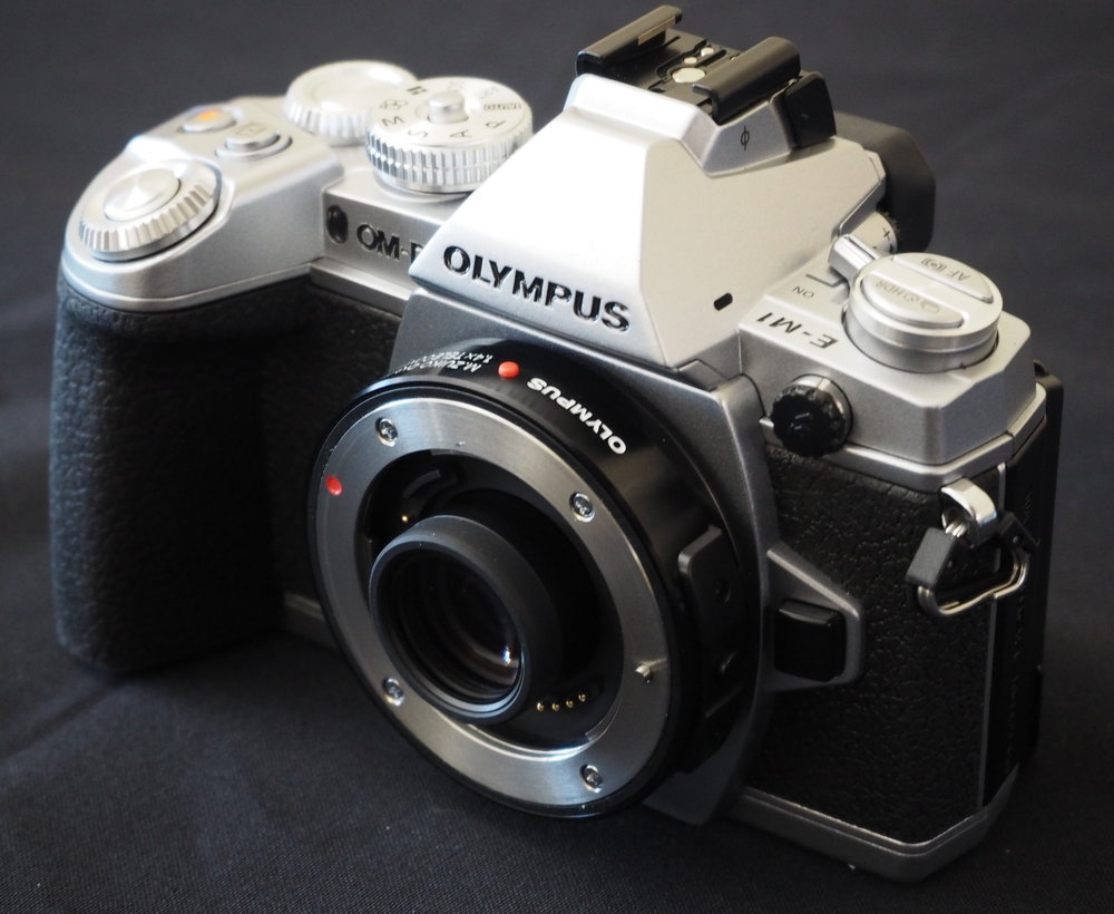 Olympus M.Zuiko Digital ED 40-150mm f/2.8 PRO Images