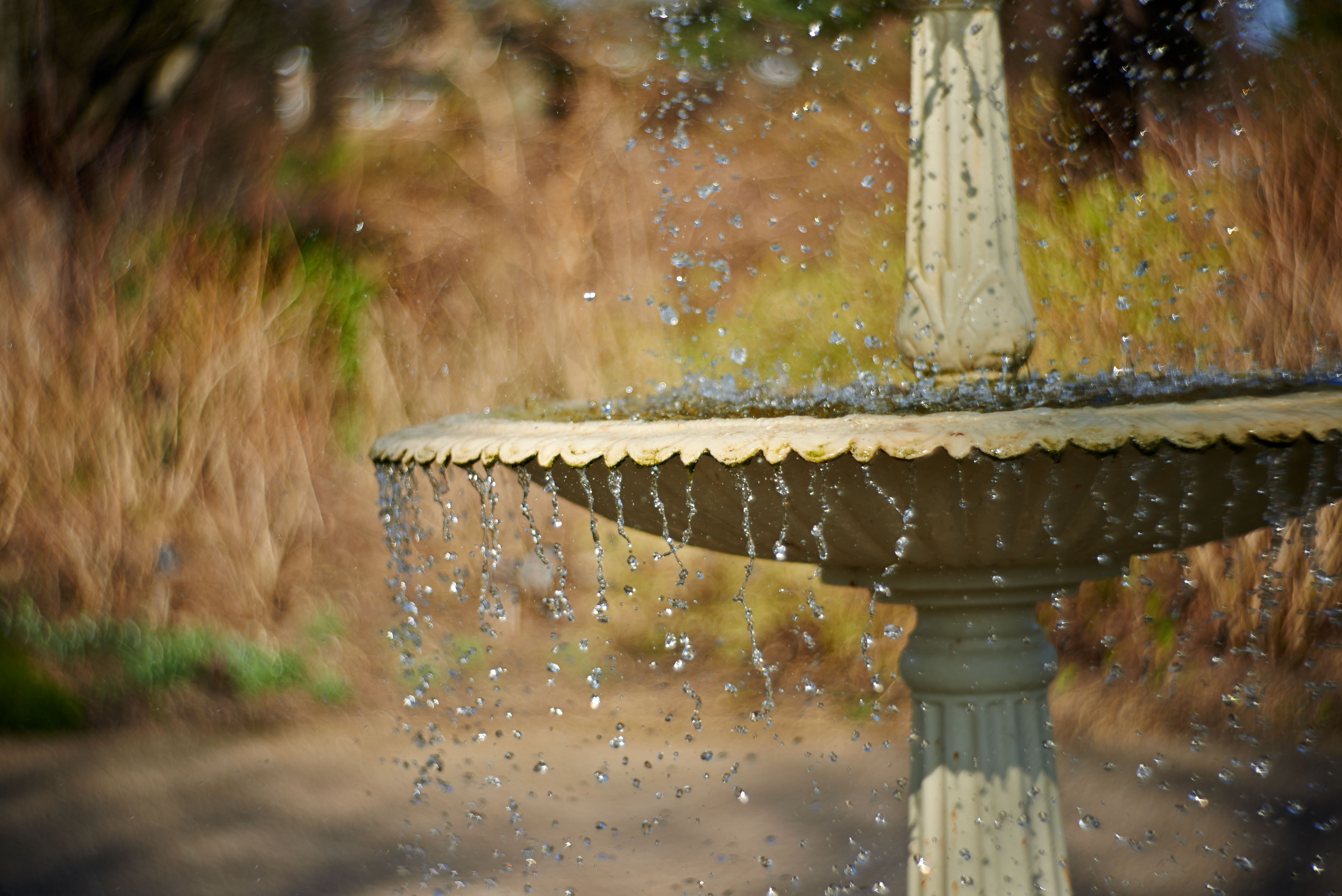 Lomography Petzval 85mm f/2.2 Art Lens Images