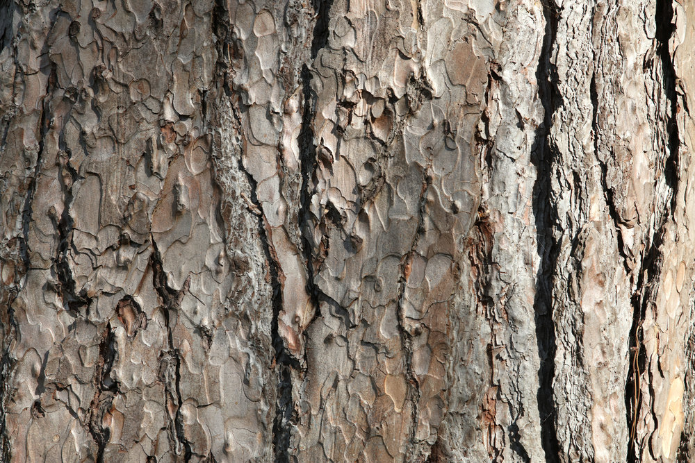 Tamron SP 24-70mm f/2.8 Di VC USD G2 Review | ePHOTOzine