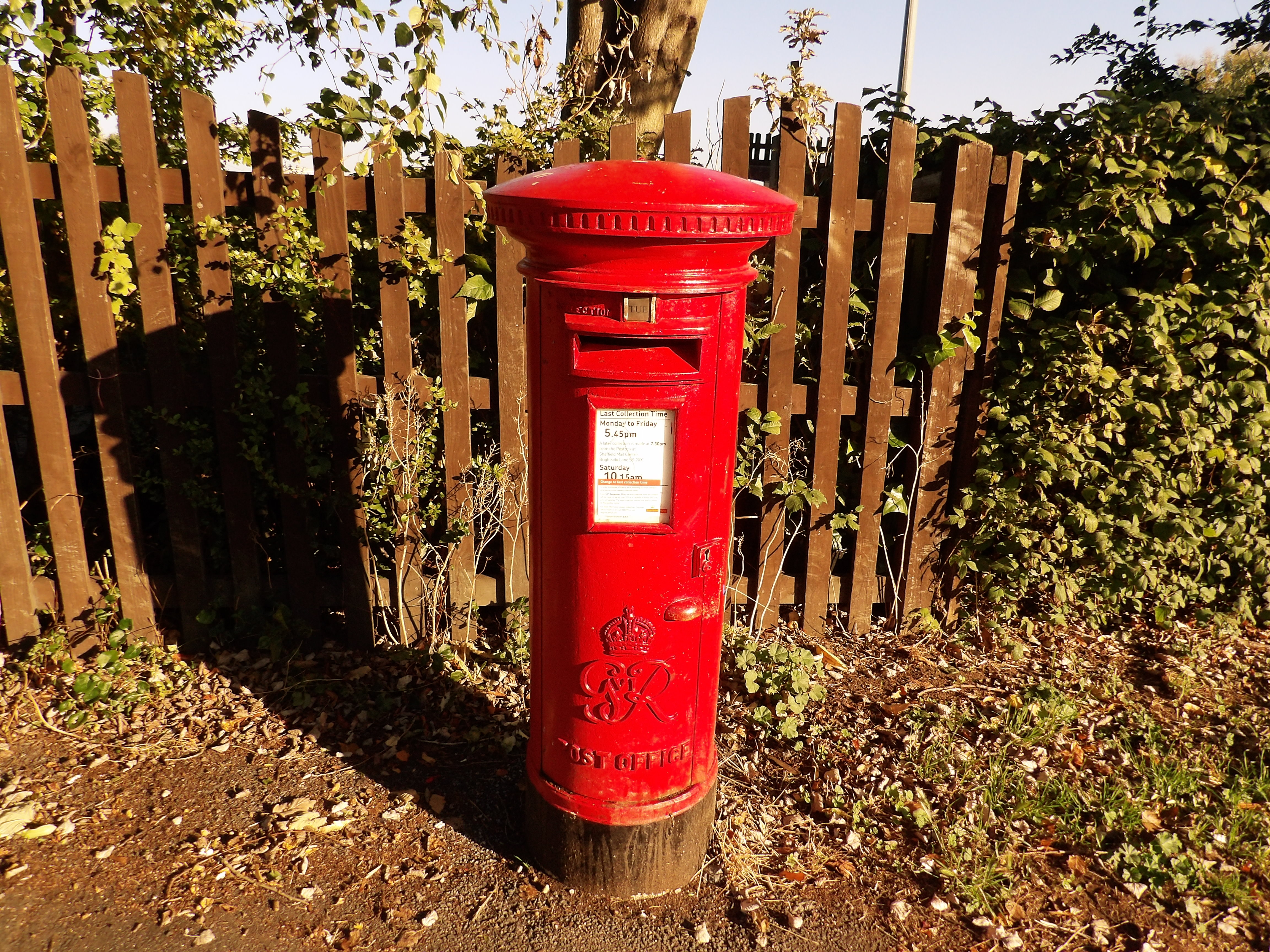 Pentax XG-1 Bridge Camera Review | ePHOTOzine