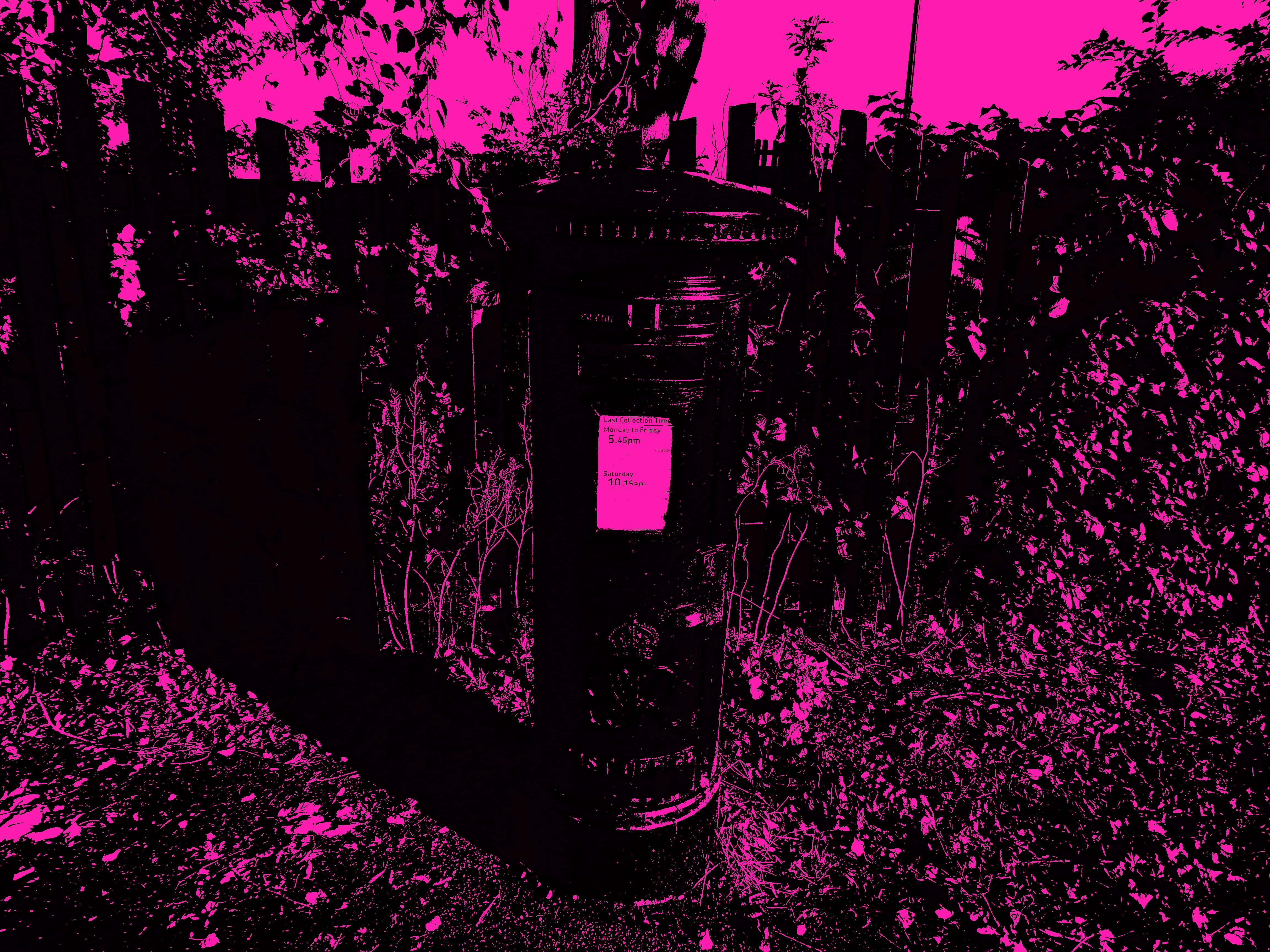 Pentax XG-1 Bridge Camera Review | ePHOTOzine