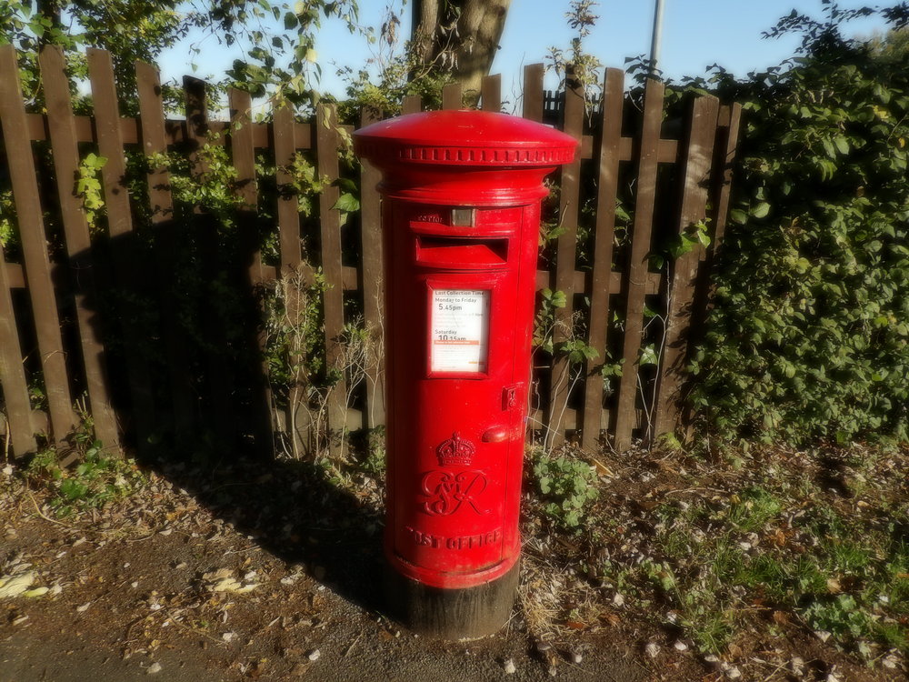 Pentax XG-1 Bridge Camera Review | ePHOTOzine