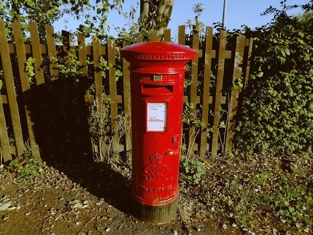 Pentax XG-1 Bridge Camera Review | ePHOTOzine