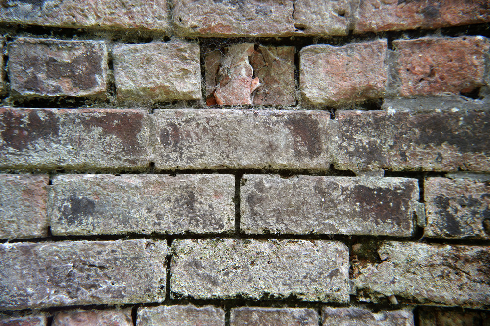 Voigtlander Zoomar 36-82mm f/2.8 Vintage Lens Review - Performance ...