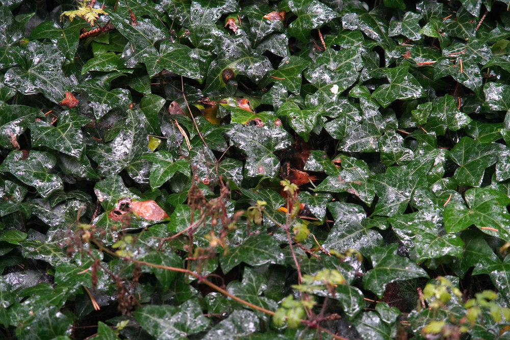 Olympus Zuiko 75-150mm F/4 Vintage Lens Review - Performance | ePHOTOzine